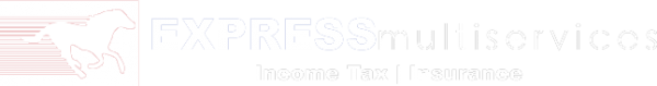 Express Multiservices – Income Tax & Auto Insurance Dallas